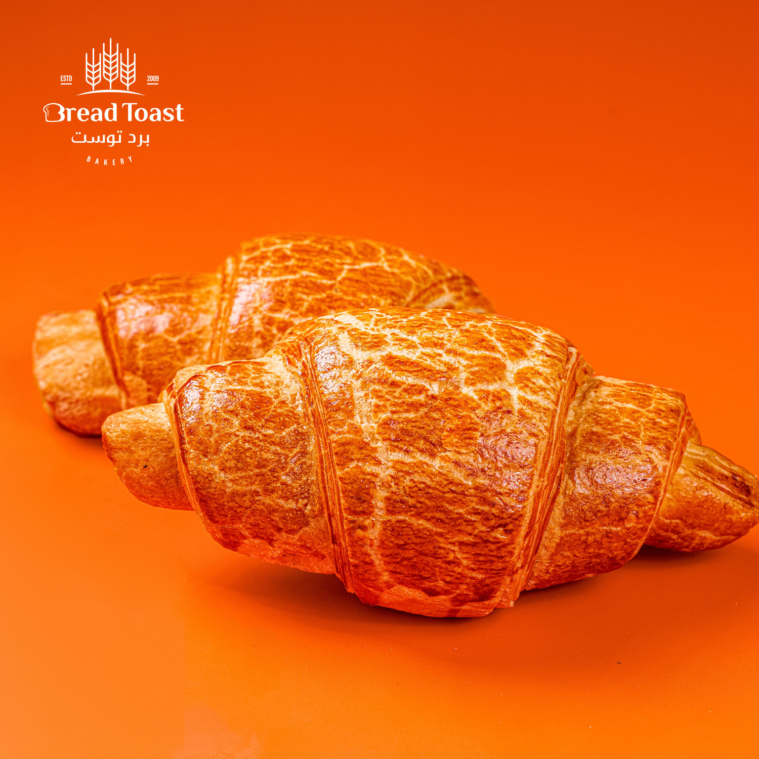 Home | Bread Toast Bakery